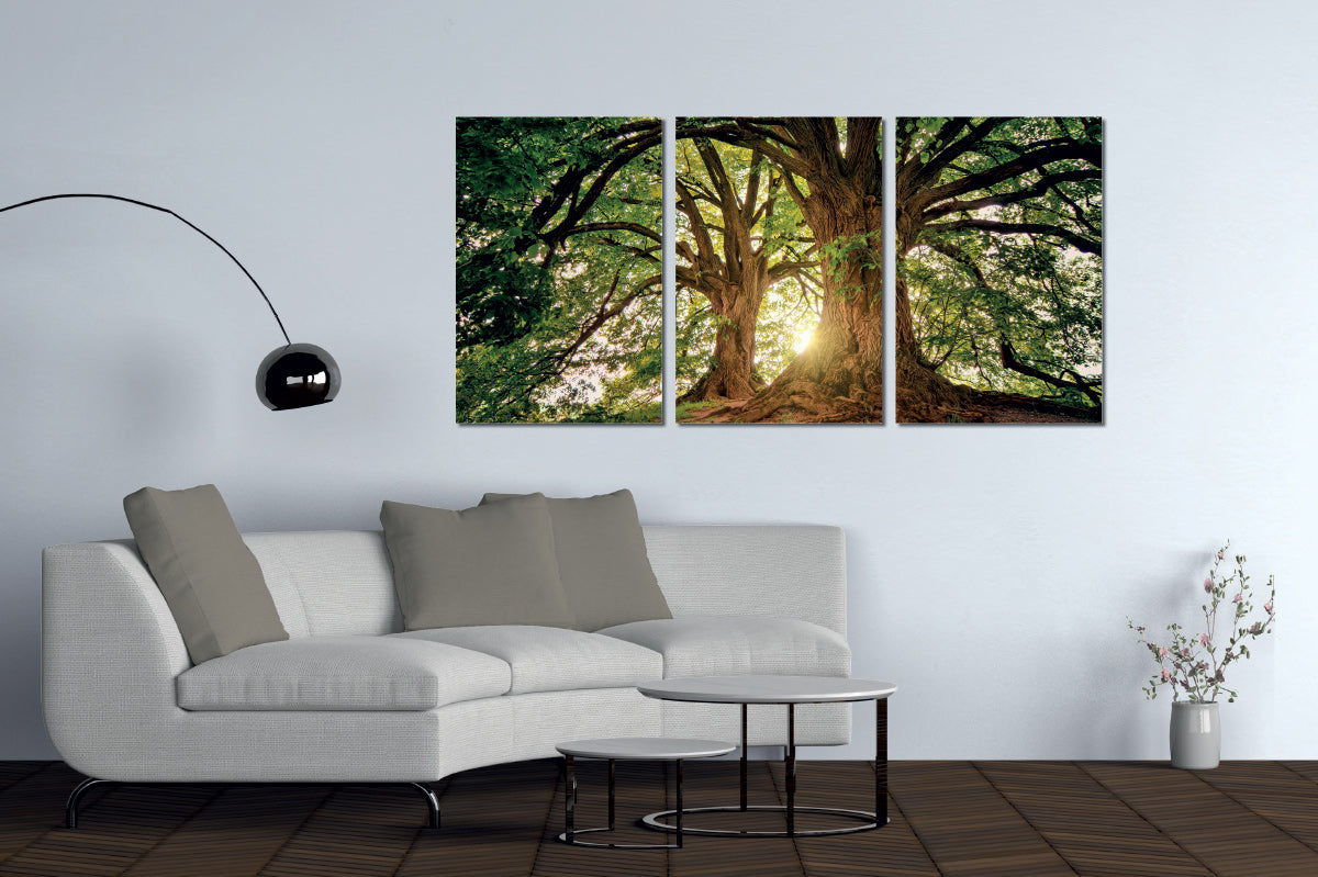 Umetnička slika na kanvasu - Fotografije 16 - Trodelna – Canvas Stampa