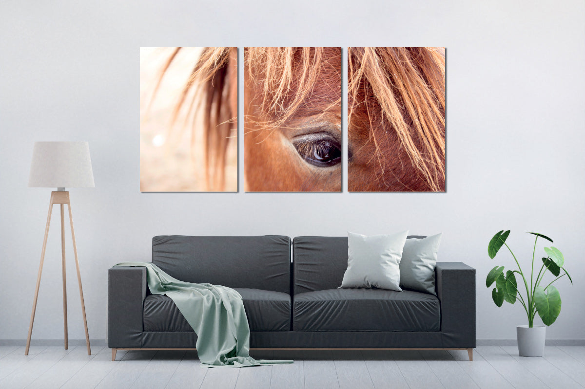 Umetnička slika na kanvasu - Životinje 10 - Trodelna – Canvas Stampa